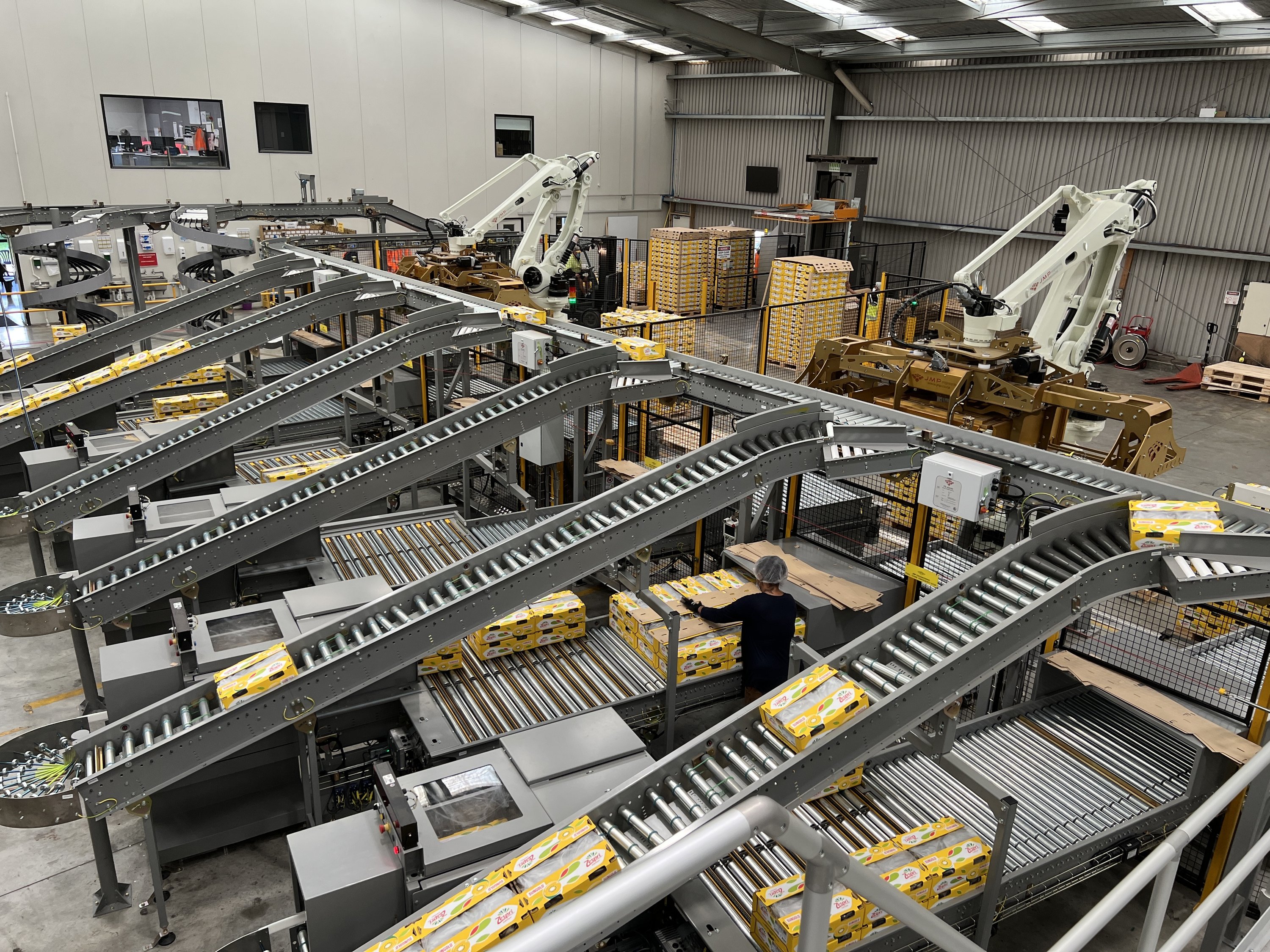 Carton Handling Solutions | Modular Conveyors Ltd