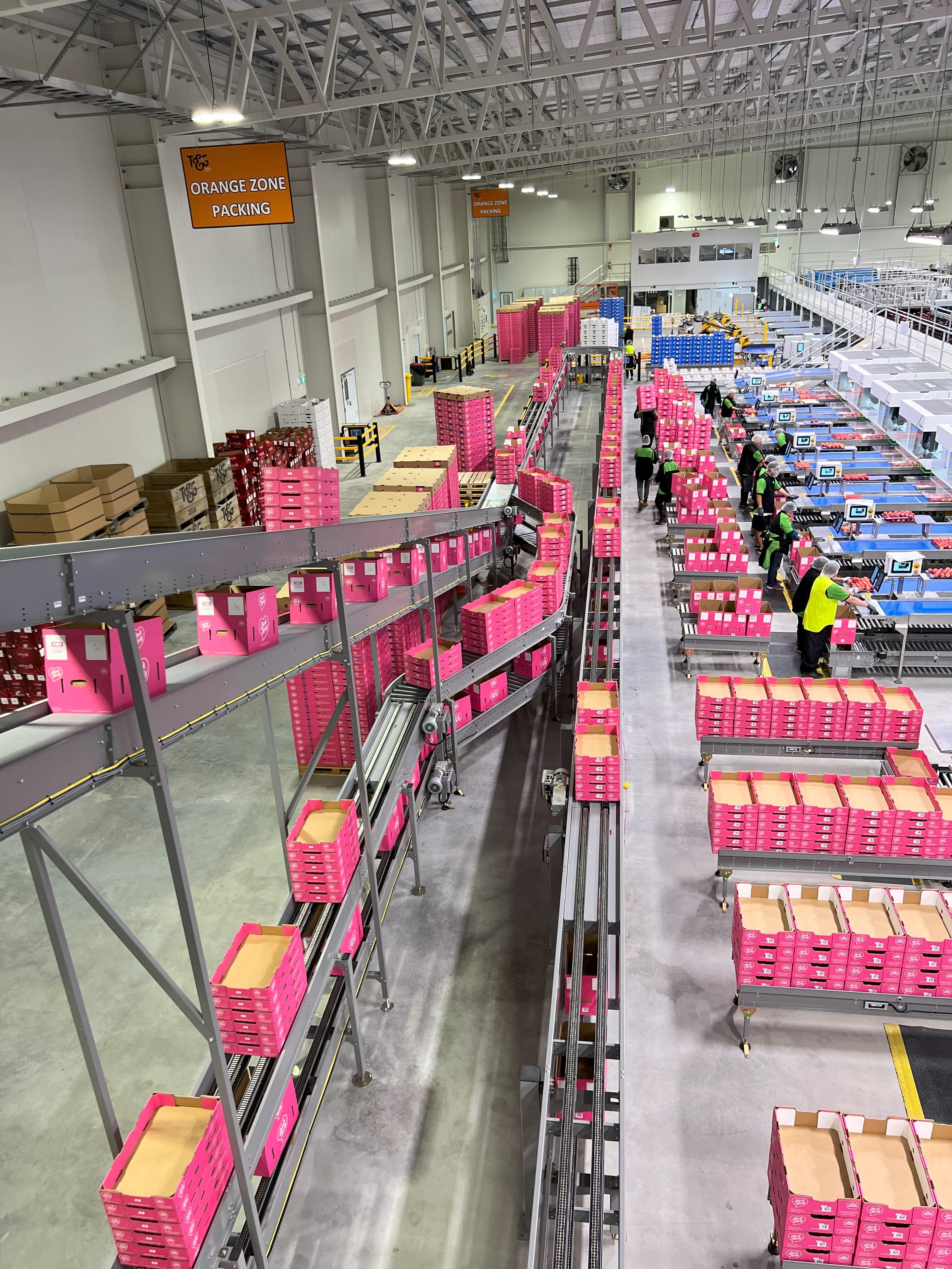 Custom Conveyors: Enabling Maximum Efficiency in Packaging Lines