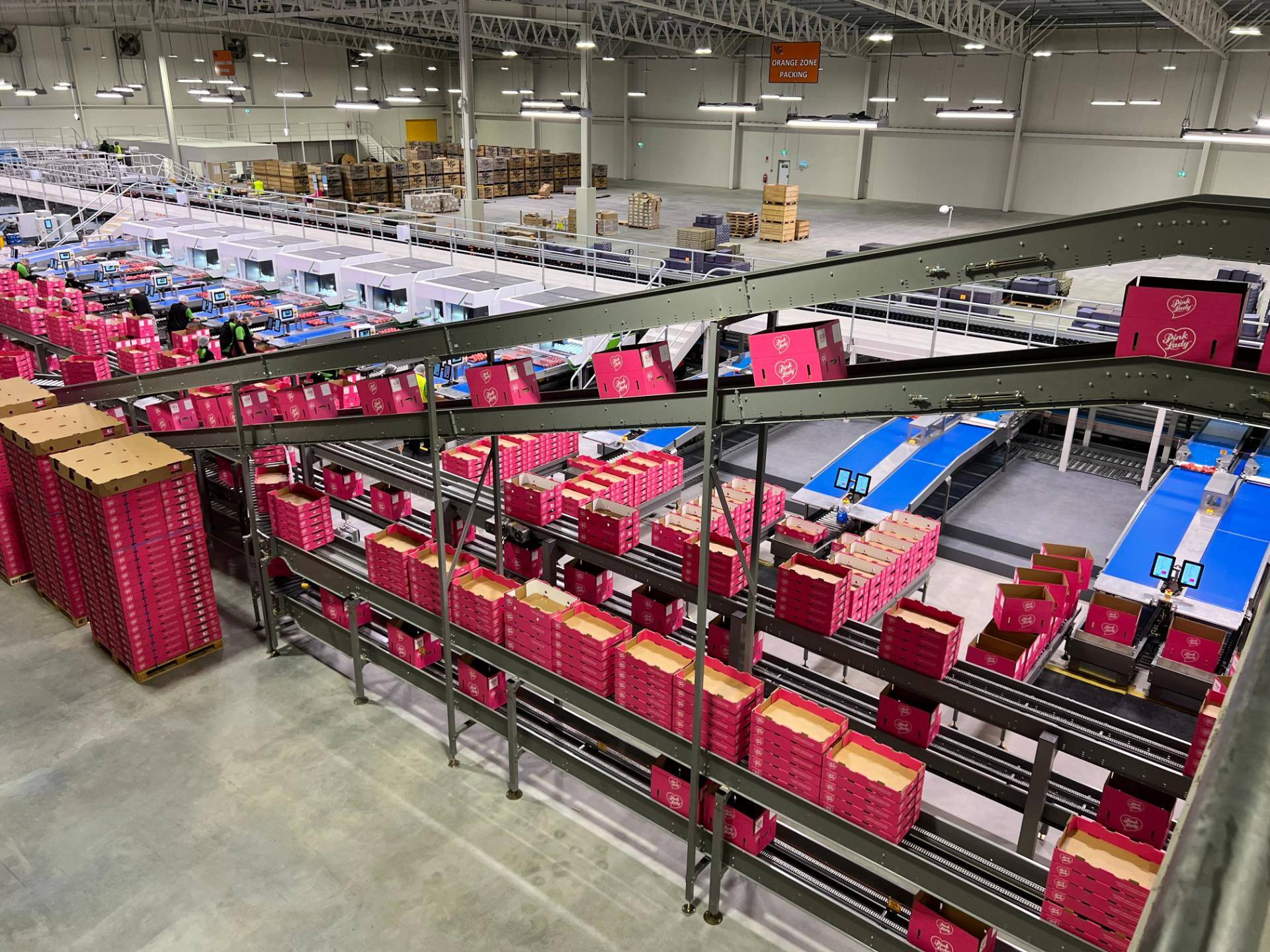 How custom conveyors enhance e-commerce warehouse carton handling